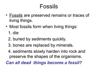 Fossils power point | PPT
