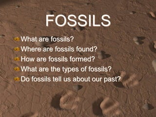 Fossils PowerPoint.ppt