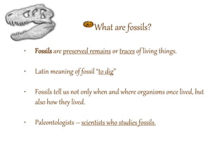 Fossils PowerPoint.ppt