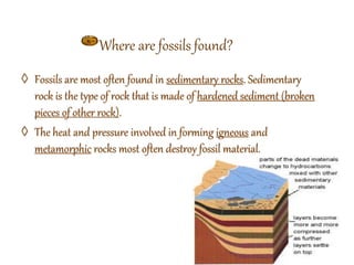 Fossils PowerPoint.ppt