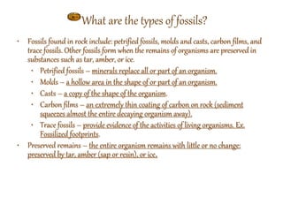 Fossils PowerPoint.ppt