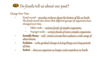 Fossils PowerPoint.ppt