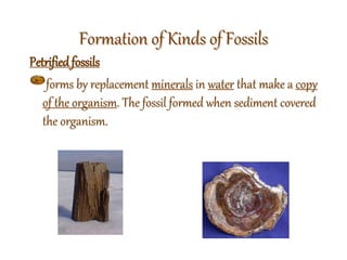 Fossils PowerPoint.ppt