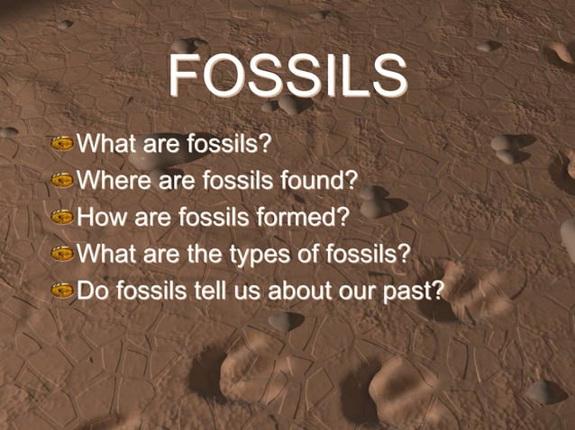 Fossils PowerPoint (1).ppt