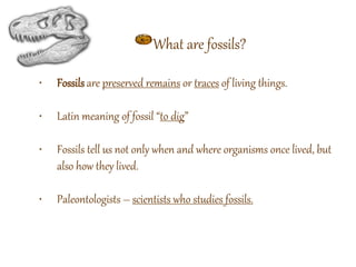 Fossils PowerPoint (1).ppt