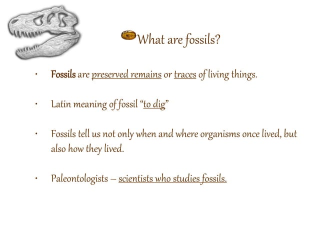 Fossils PowerPoint (1).ppt