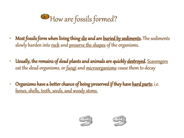 Fossils PowerPoint (1).ppt
