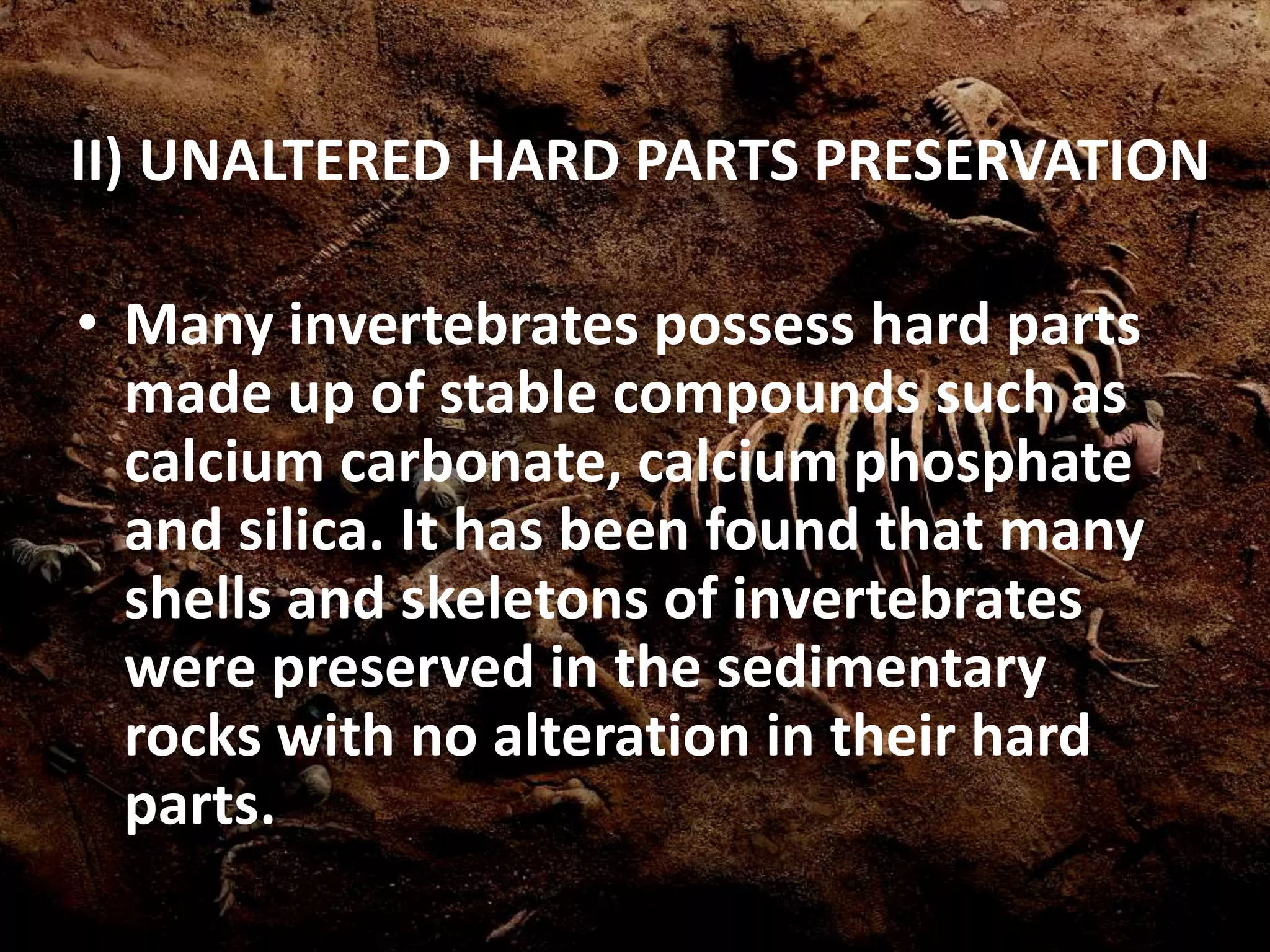 fossils ppt-1.pptx