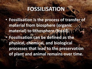 fossils ppt-1.pptx