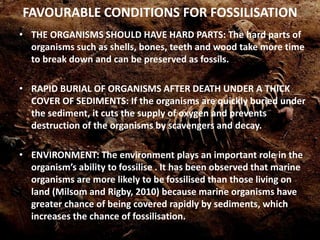 fossils ppt-1.pptx