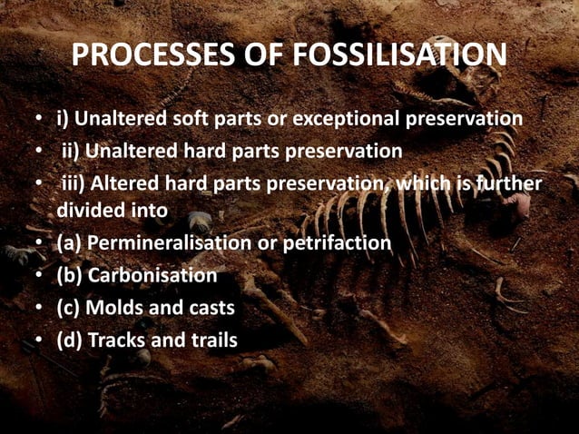 fossils ppt-1.pptx