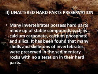 fossils ppt-1.pptx