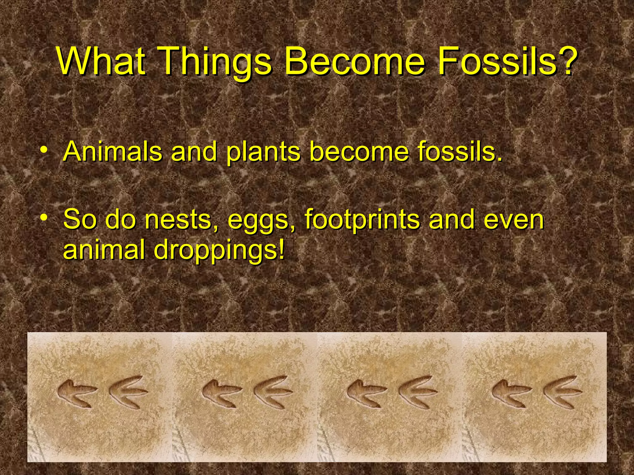 Fossils ppt | PPT