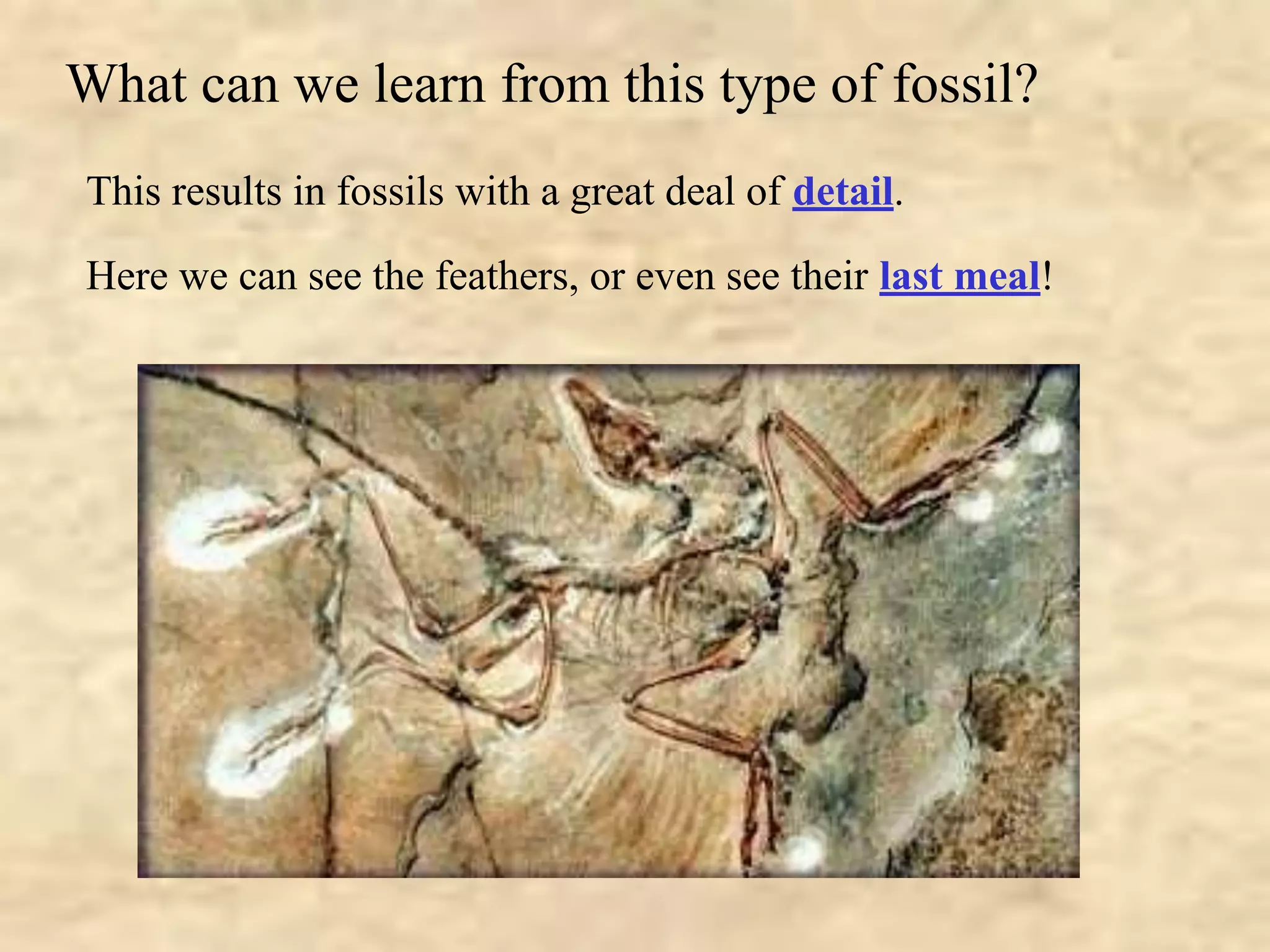 fossils ppt.pdf