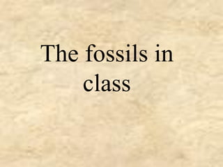 fossils ppt.pdf