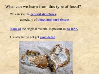 fossils ppt.pdf