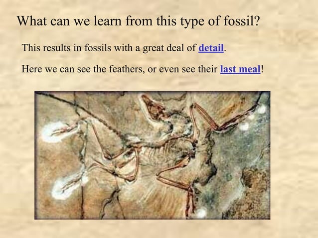 fossils ppt.pdf
