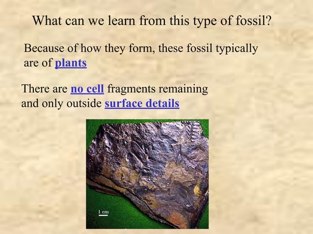 fossils ppt.pdf