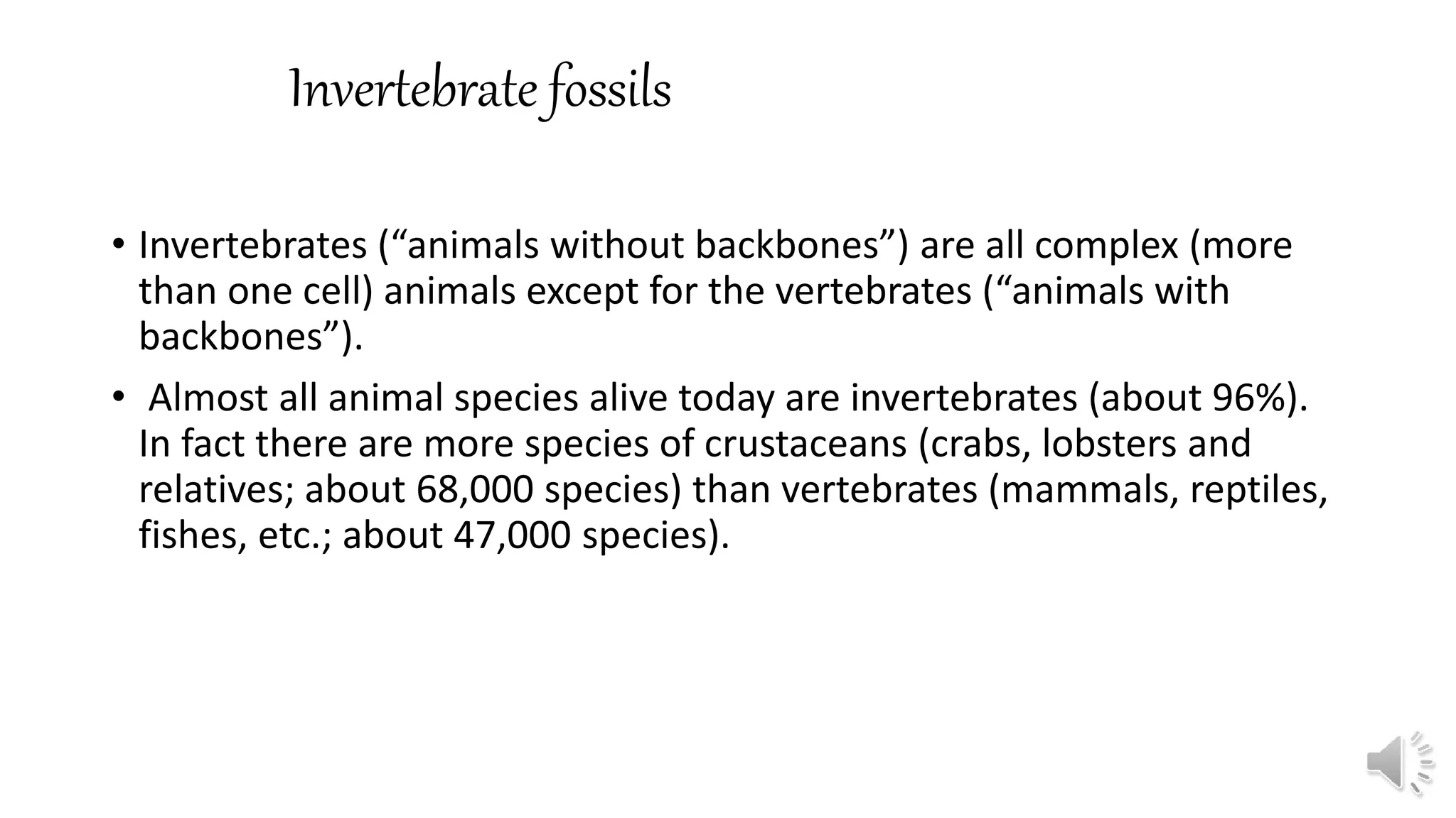 vertebrate and invertebrate fossils | PPTX
