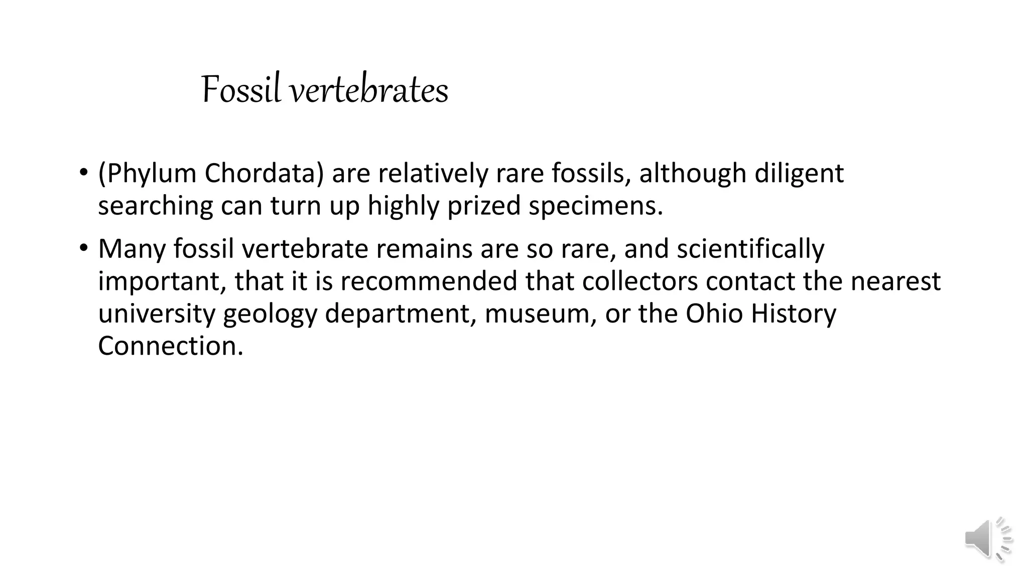 vertebrate and invertebrate fossils | PPTX
