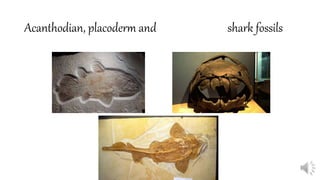 vertebrate and invertebrate fossils | PPTX