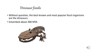 vertebrate and invertebrate fossils | PPTX