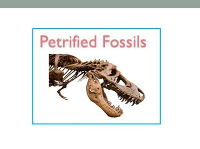 Fossils - fossil | PPT | Free Download
