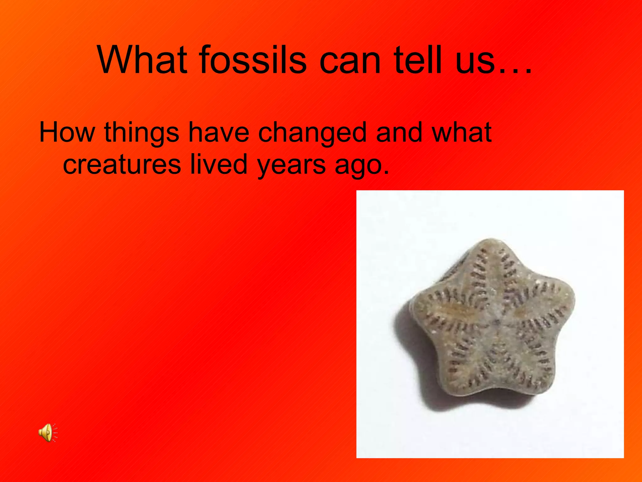 Fossils presentation by group 6a | PPT