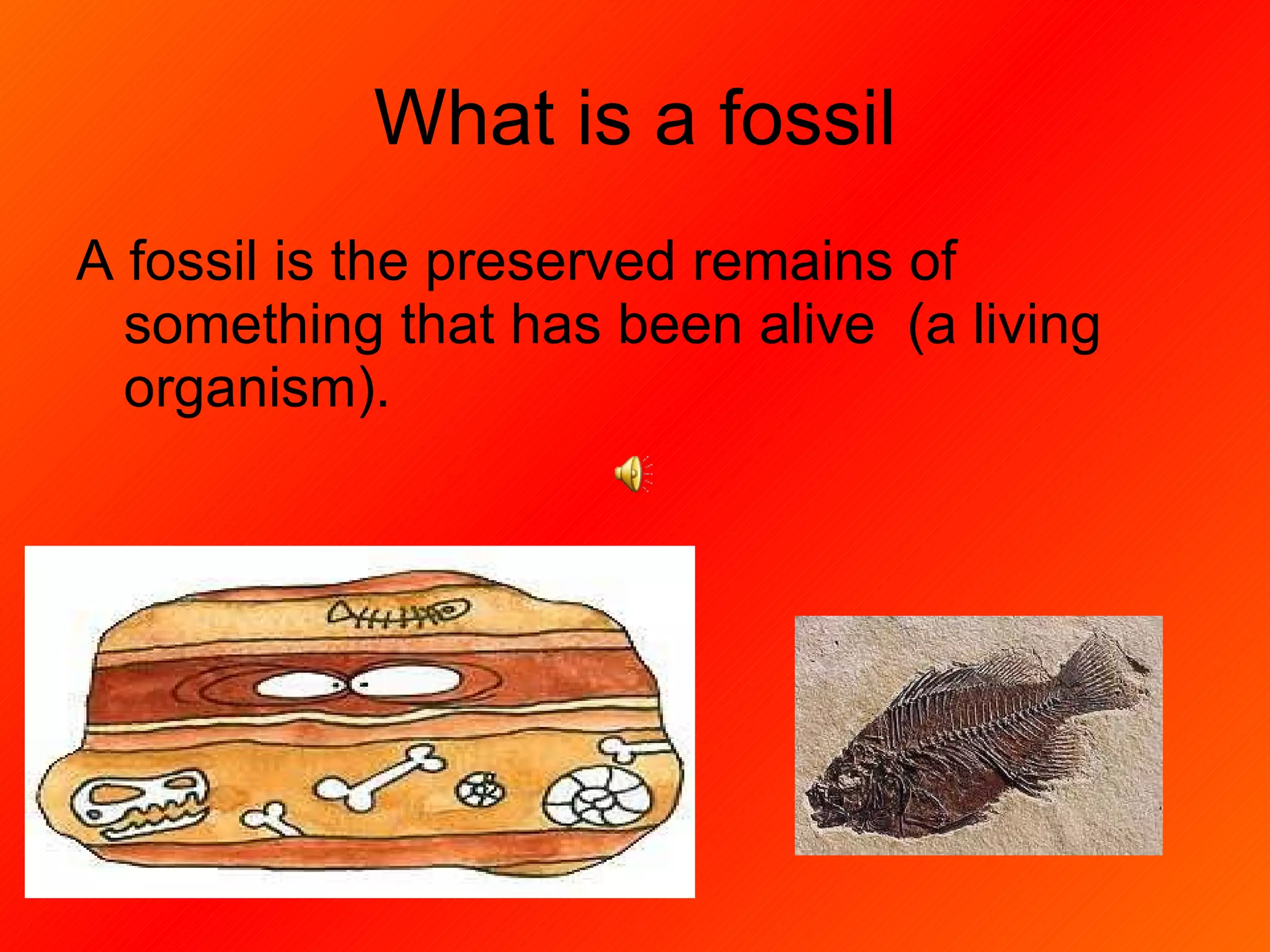 Fossils presentation by group 6a | PPT