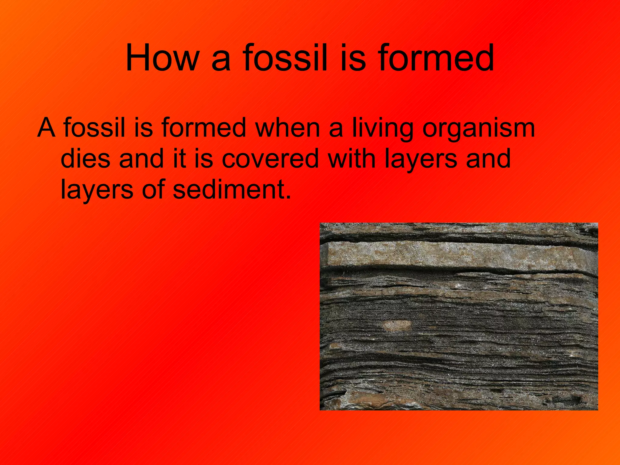 Fossils presentation by group 6a | PPT