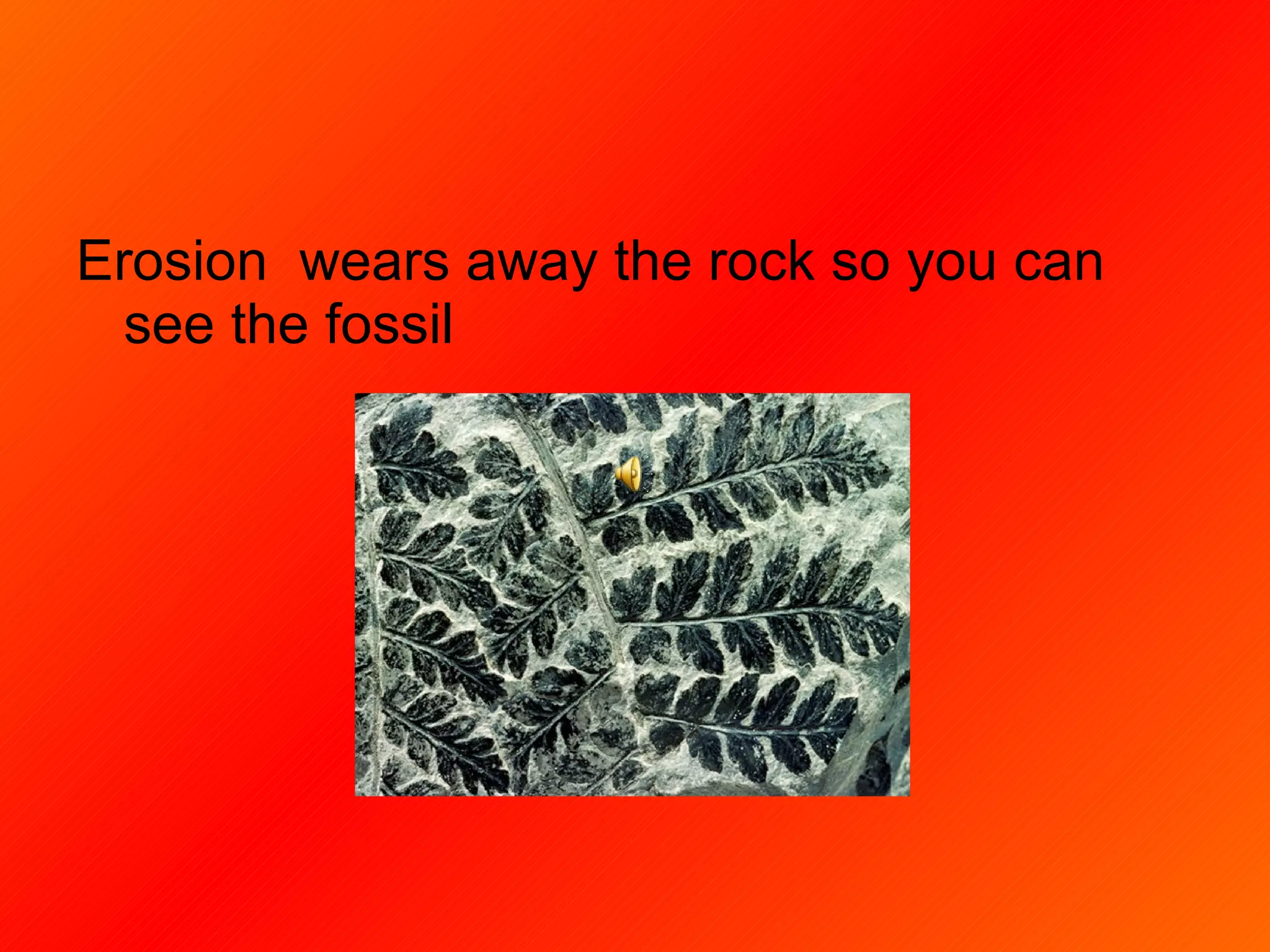 Fossils presentation by group 6a | PPT