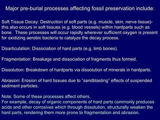 Fossils_processeses favouring preservation.ppt