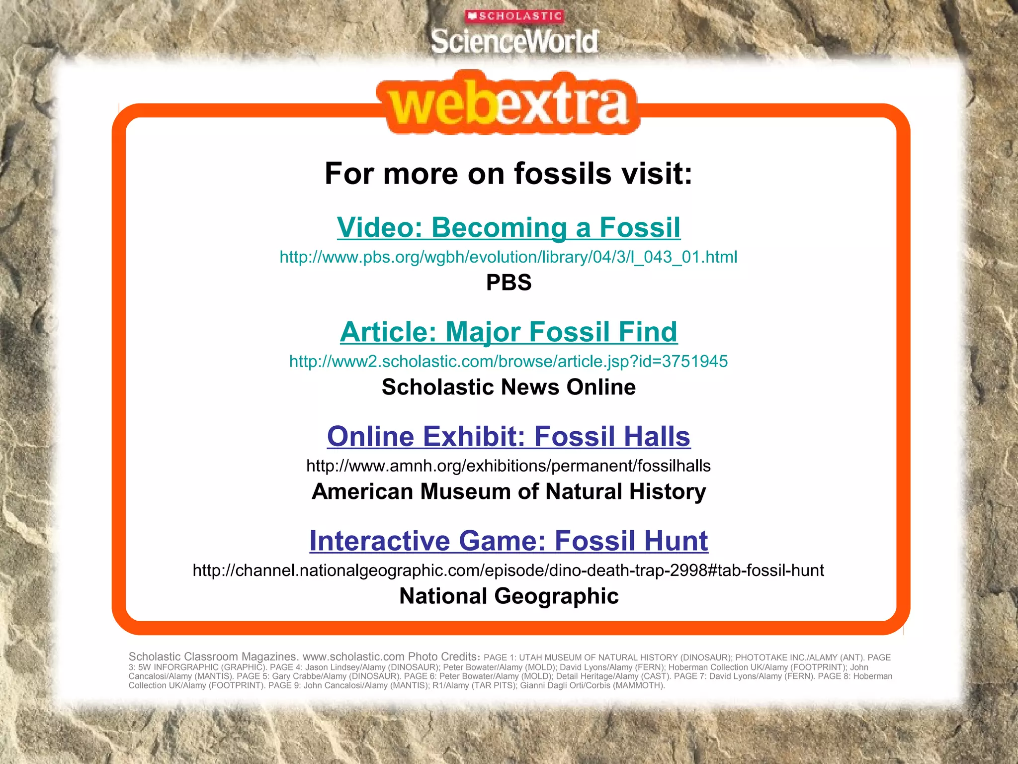 Fossils | PPT