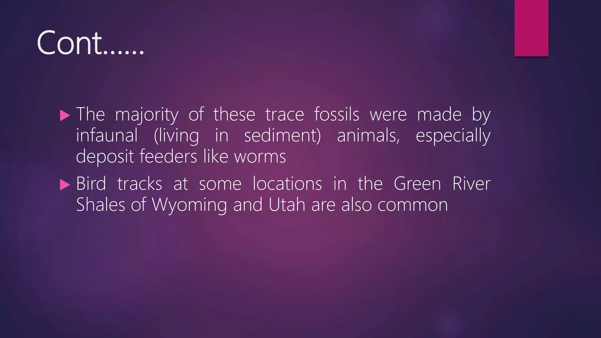 Fossils and fossilization by Muhammad Sohail Riaz Hashmi | PPTX