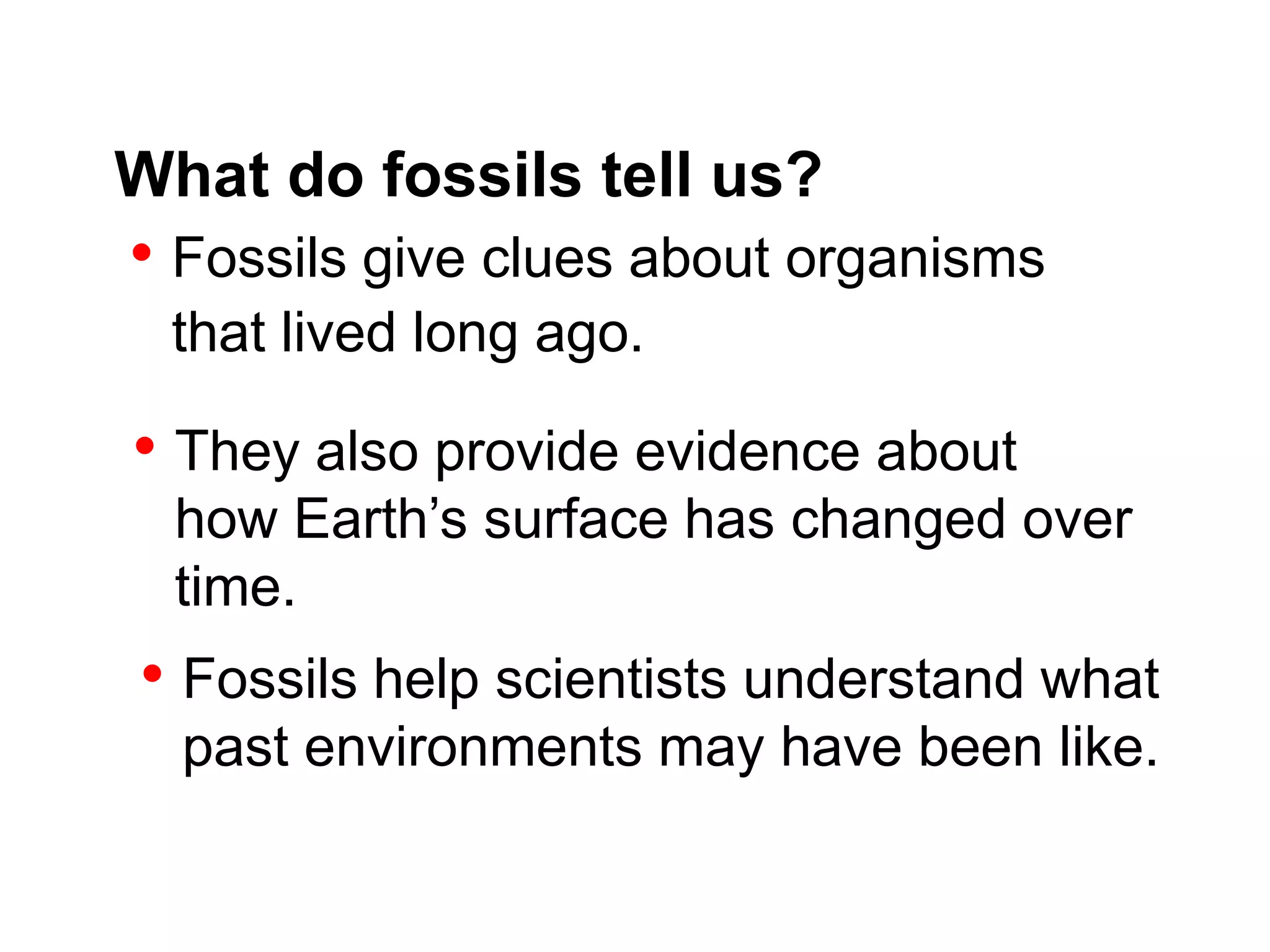 Fossils (teach) | PPTX