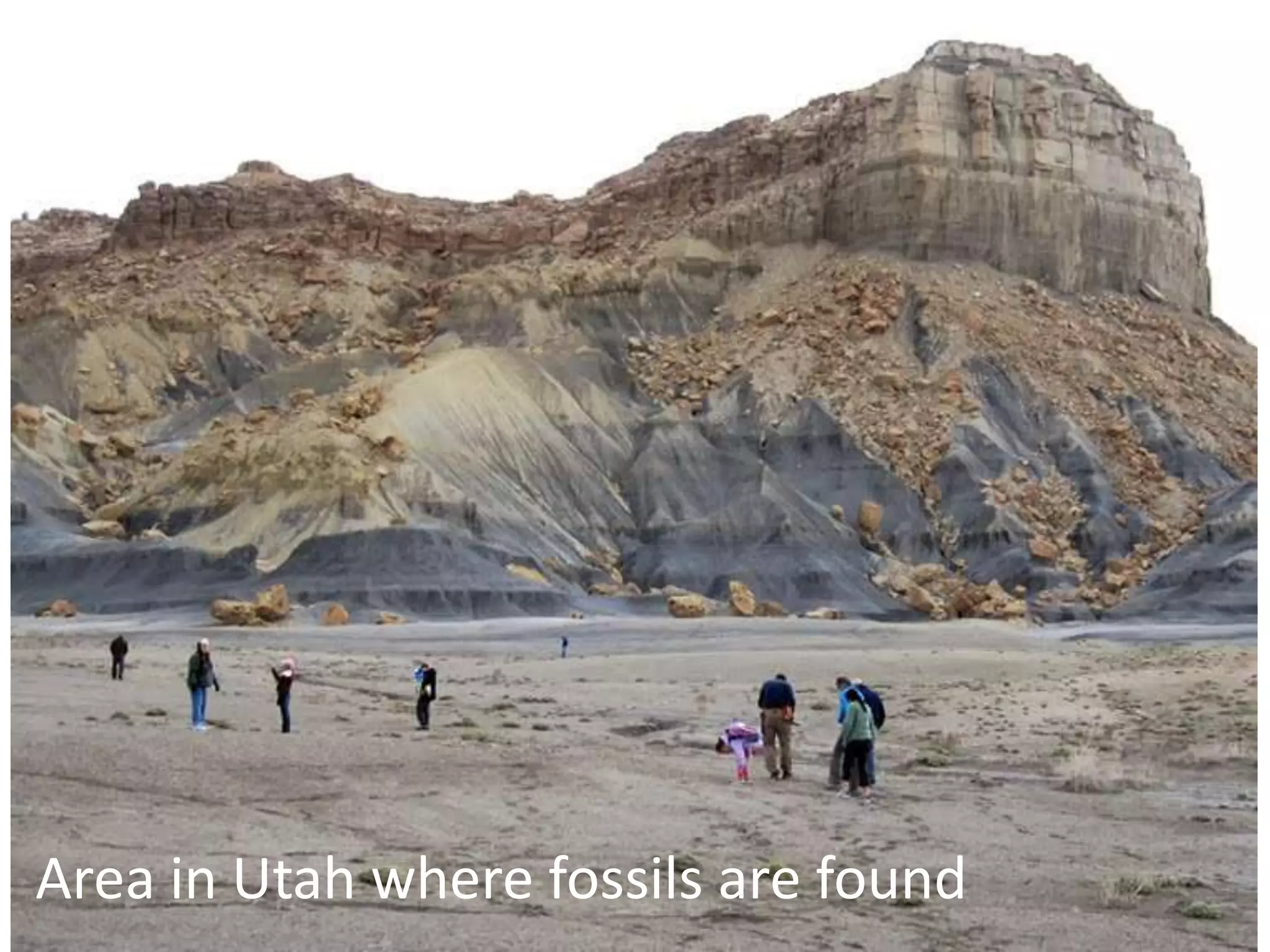 Fossils tell about earth's history (teach) | PPTX