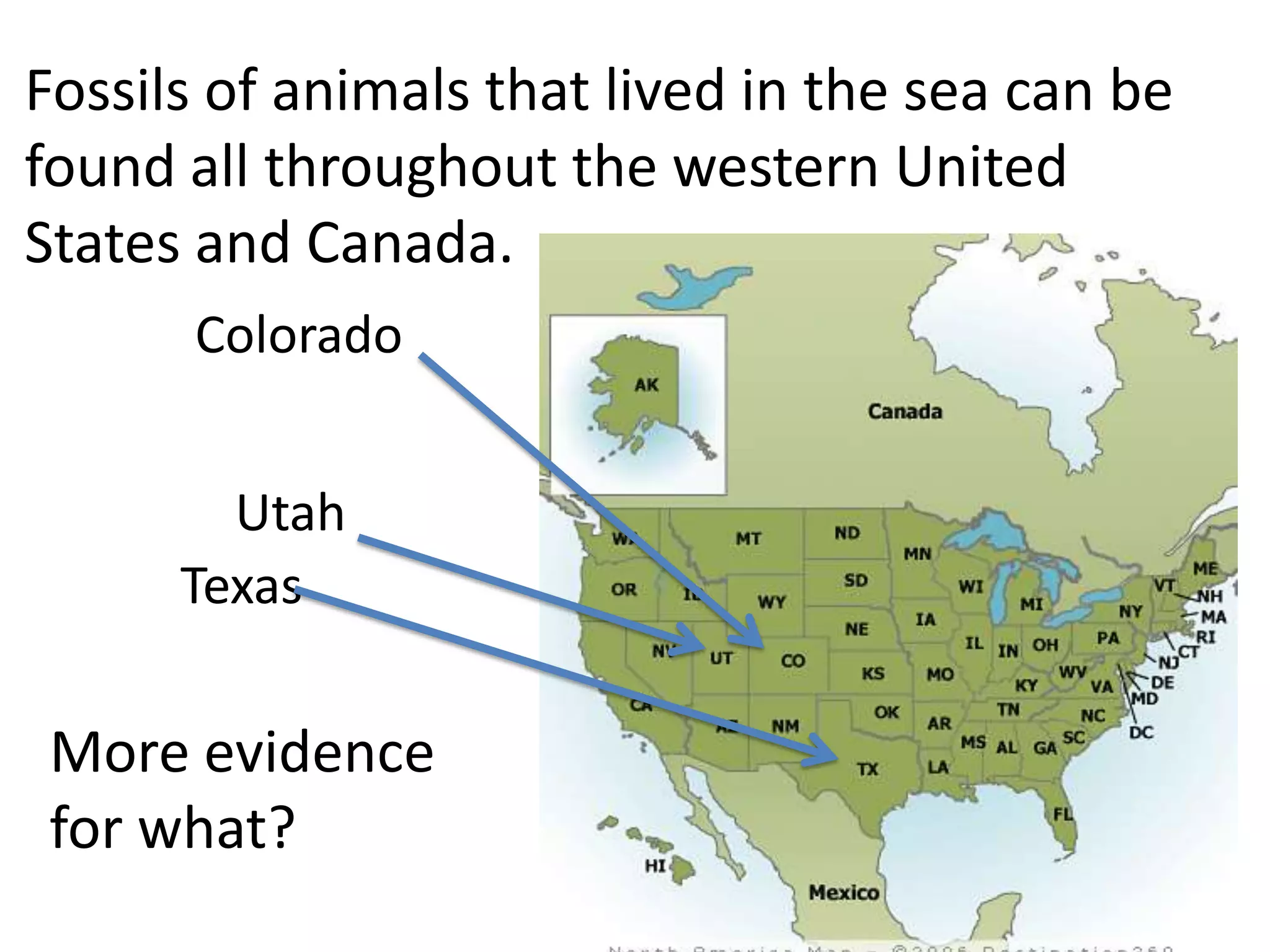 Fossils tell about earth's history (teach) | PPTX | Geography | Science