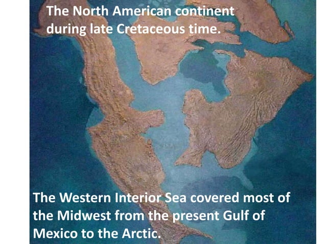 Fossils tell about earth's history (teach) | PPTX | Geography | Science