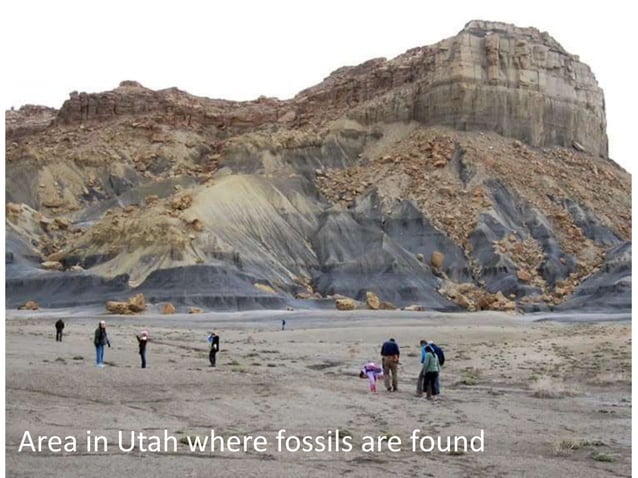 Fossils tell about earth's history (teach) | PPTX | Geography | Science