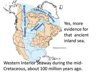 Fossils tell about earth's history (teach) | PPTX | Geography | Science