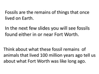 Fossils tell about earth's history (teach) | PPTX | Geography | Science