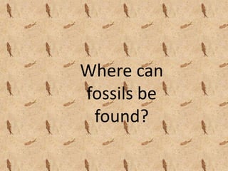 Fossils tell of long ago | PPTX