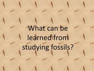 Fossils tell of long ago | PPTX