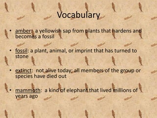 Fossils tell of long ago | PPTX