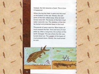 Fossils tell of long ago | PPTX