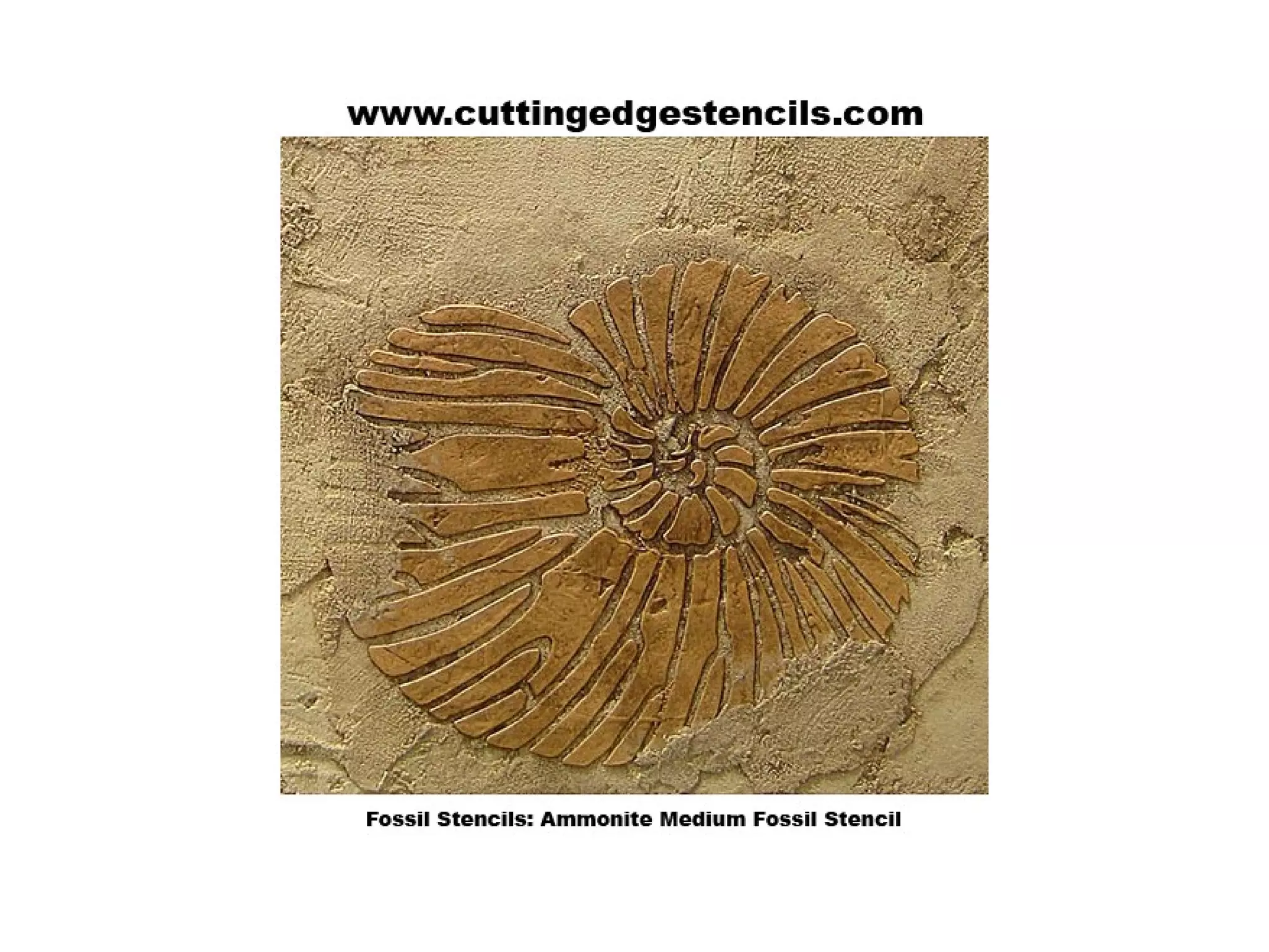 Fossil Stencils by Cutting Edge Stencils | PPT