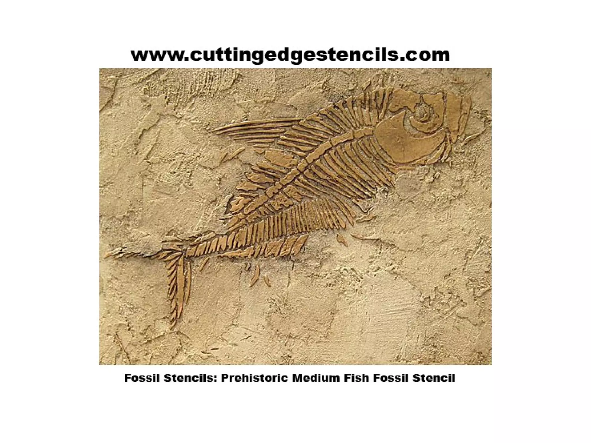 Fossil Stencils by Cutting Edge Stencils | PPT