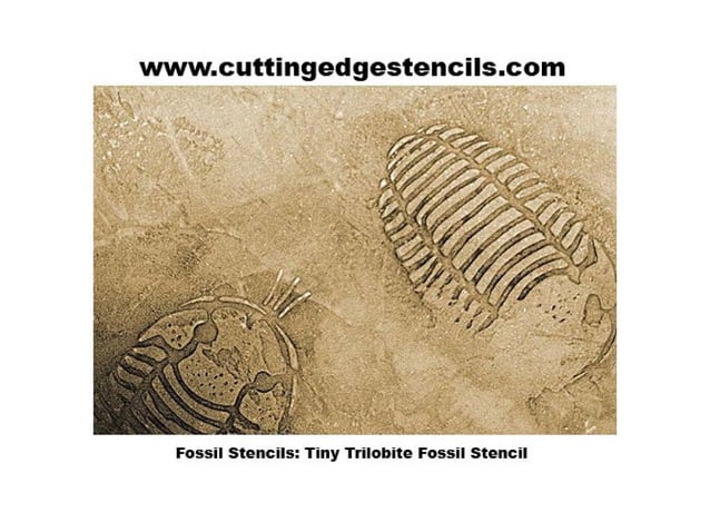 Fossil Stencils by Cutting Edge Stencils | PPT