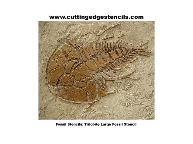 Fossil Stencils by Cutting Edge Stencils | PPT