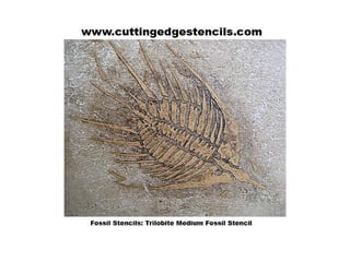 Fossil Stencils by Cutting Edge Stencils | PPT